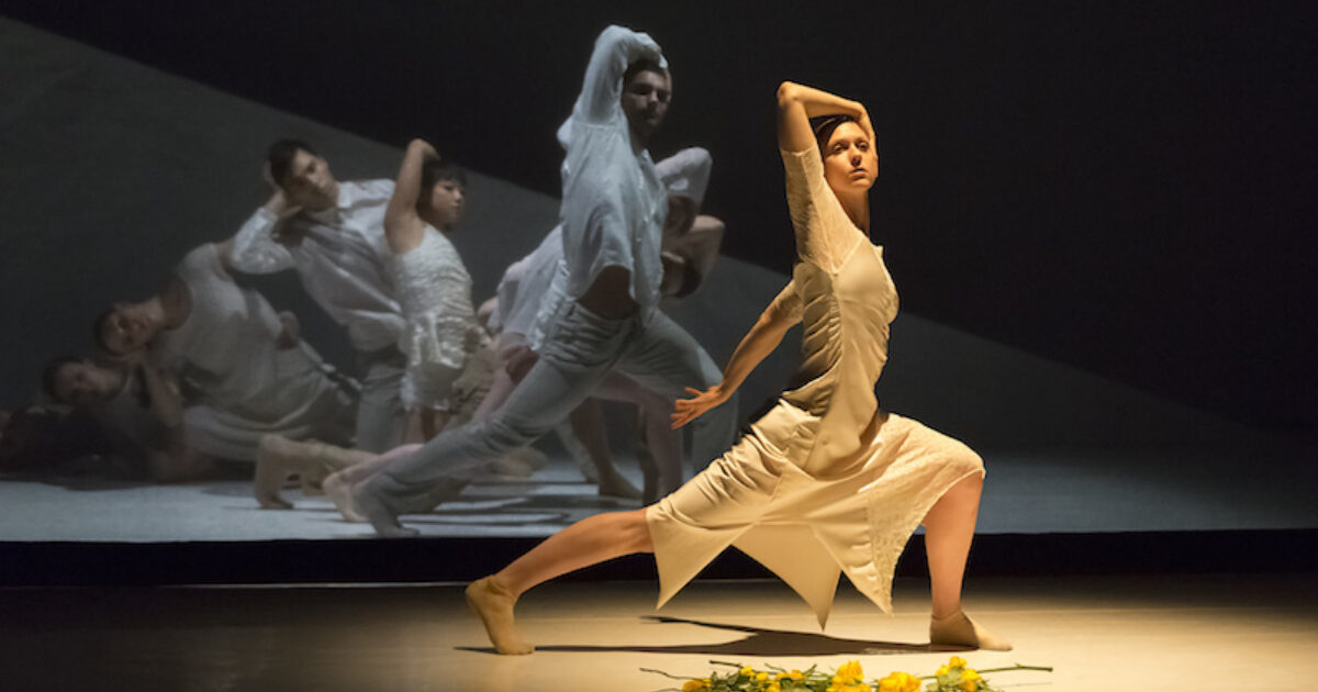WOOLF PAPERS - Repertoire | NW Dance Project