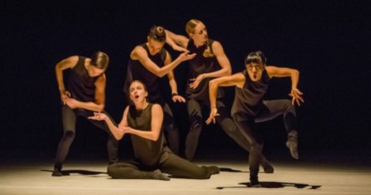 NW Dance Project | New Now Wow Rocks The House!